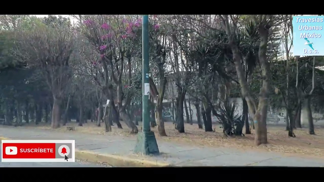 Explora las opciones de vivienda en Copilco cerca de la universidad ...